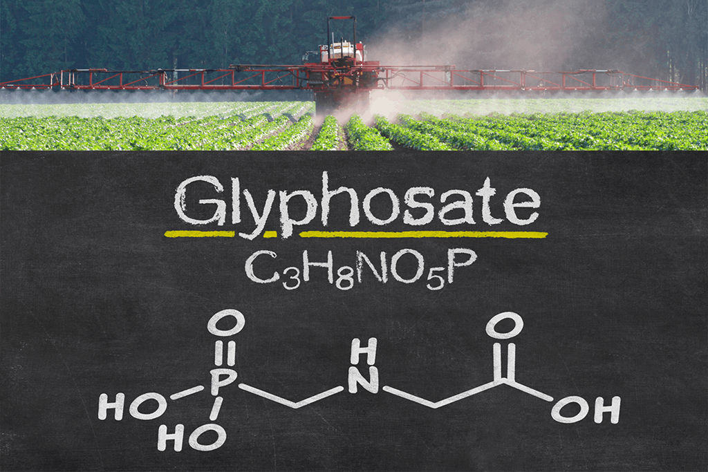 Why Glyphosate Exposure Matters